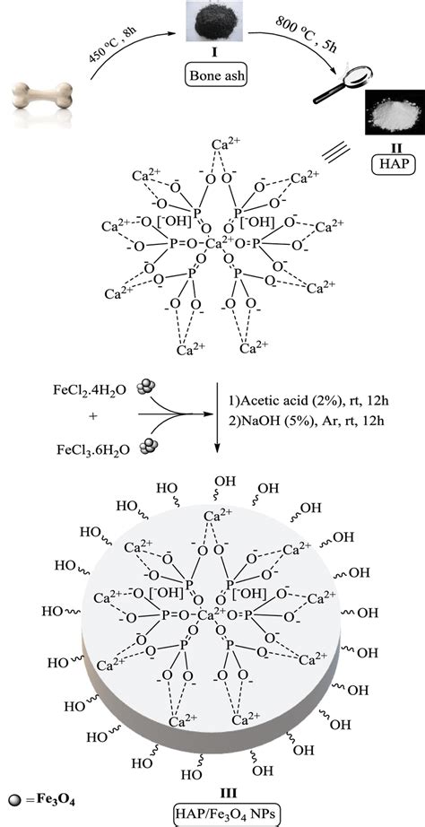 The Schematic Pathway For The Synthesis Of The Magnetic Nanostructured Download Scientific