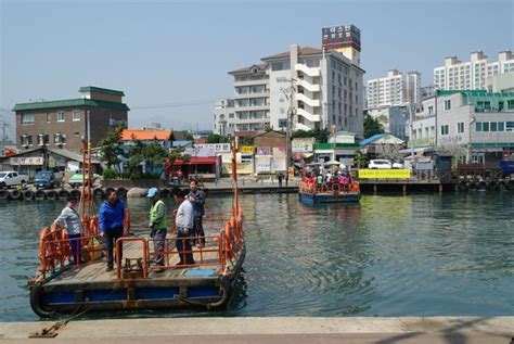 청초호 리브레 위키