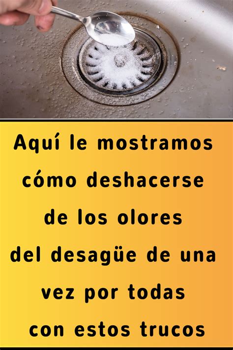 Aquí Le Mostramos Cómo Deshacerse De Los Olores Del Desagüe De Una Vez Por Todas Con Estos