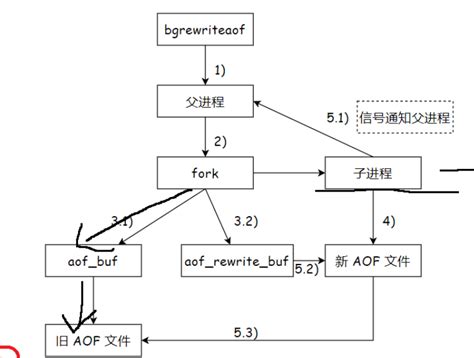 Redis进阶 持久化 Csdn博客