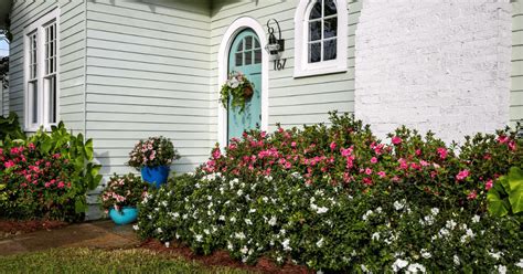 Landscaping With Dwarf Azaleas How To Pick The Best Bushes And Shrubs