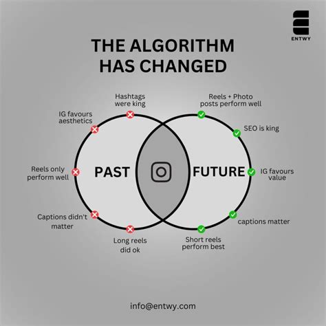 instagram algorithm socialmedia contentmarketing digitalmarketing