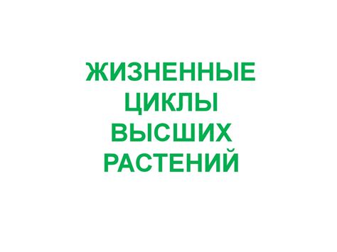 Жизненные циклы высших растений презентация онлайн