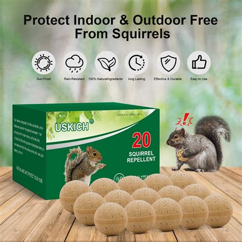 Natural Squirrel And Chipmunk Repellent At Nancy Hansen Blog