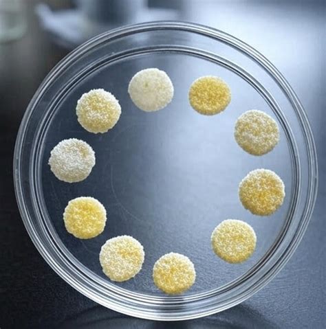 Minimum Inhibitory Concentration Mic Test Isca Cosmetic Testing