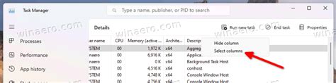Customize Windows 11 Task Manager Columns And Settings