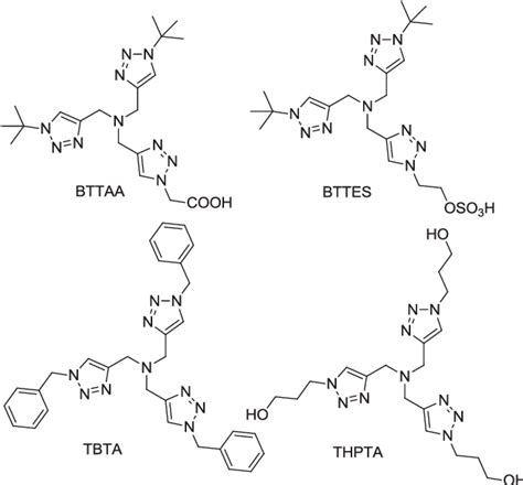 Figure 5 From Advances Of Azide Alkyne Cycloaddition Click Chemistry Over The Recent Decade