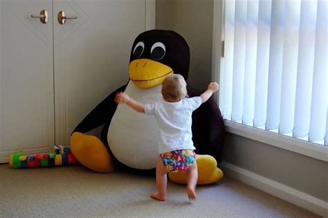 Alekya D☁️👩‍💻 On Linkedin Linux