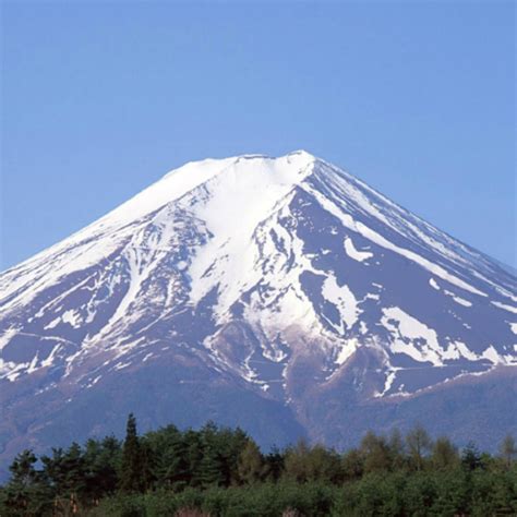 Japan Hotels and Travel for PC / Mac / Windows 11,10,8,7 - Free Download - Napkforpc.com
