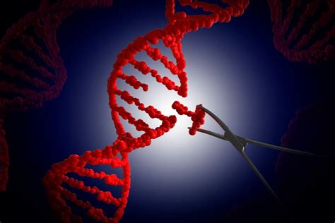 국내 연구팀 유전자가위 新개발… 암세포 증식 82 감소