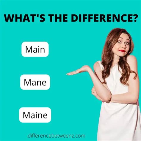 Difference Between Main Mane And Maine Difference Betweenz