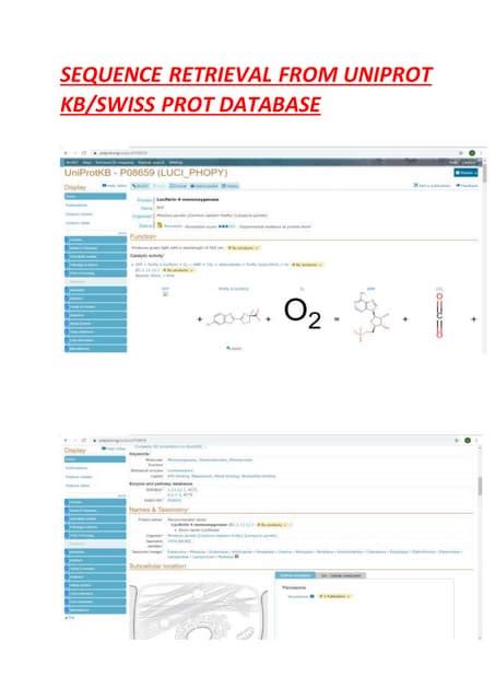 Uniprotkb Swissprot Database Sequence Retrieval Docx