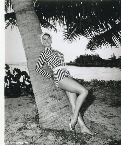 Slice Of Cheesecake Susan Hart Pictorial