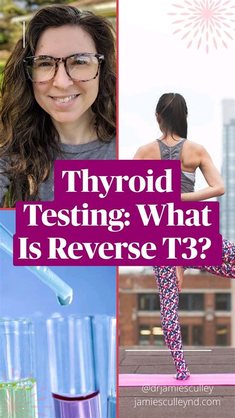 Thyroid Testing What Is Reverse T3 An Immersive Guide By Jamie