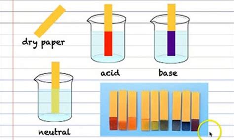 Acids Bases And Ph Scienceandsf A Blog Published By Robert A Lawler