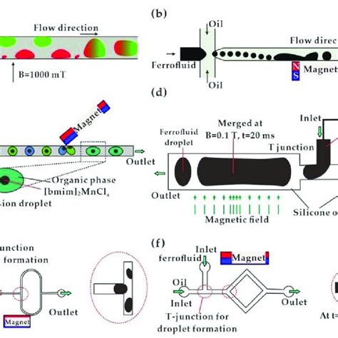 Droplet Coalescence And Splitting In A Magnetic Field A Uniform Download Scientific Diagram