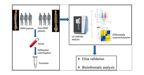 Proteomic Profiling Of Serum Derived Extracellular Vesicles In Diffuse