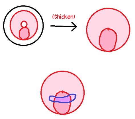 Atalgebraic Topology A Property Stronger Than The Fixed Point