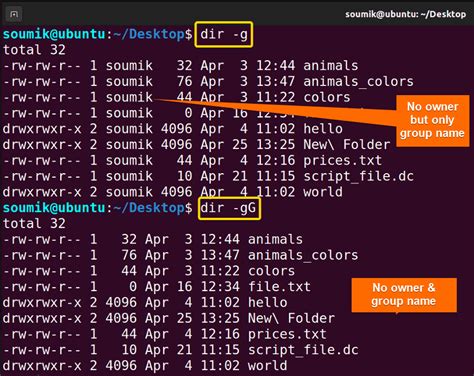 The Dir” Command In Linux 15 Practical Use Cases Linuxsimply