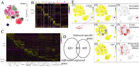 A Tsne Plot Of Rdc21 Data Table S5 B Heatmap Of Class