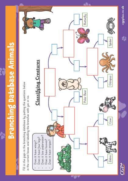 Branching Database Animals Years 3 4 Cgp Plus Branching Database Animals Years 3 4 Cgp Plus