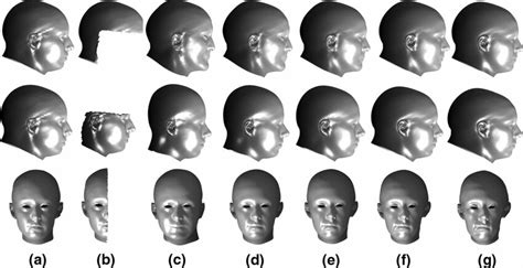 The Flexibility Of Reconstruction From Incomplete Data Using The Global