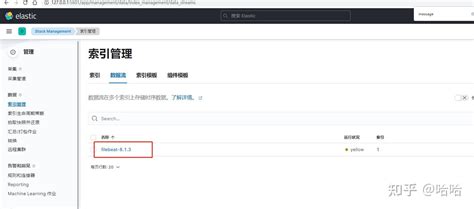 Elasticsearchkibanafilebeat 80 搭建 知乎