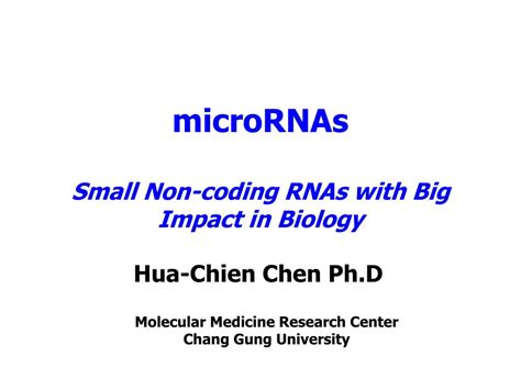 Ppt Micrornas Small Non Coding Rnas With Big Impact In Biology Powerpoint Presentation Id428975