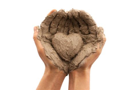 10 Unusual Things That You Didnt Know Were Edible