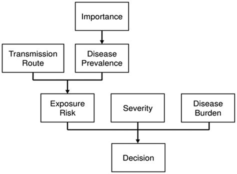 Diagram Of Decision Making Inputs Related To Hepatitis E Vaccination In