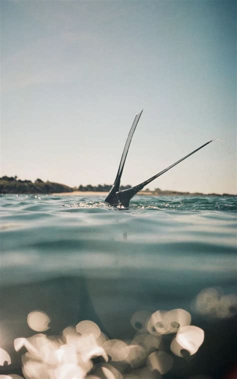 Agathe Chardon Tourisme Bretagne