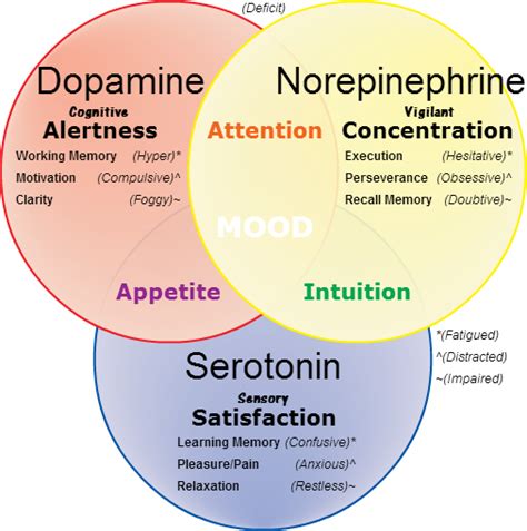 Key To Perfect Health