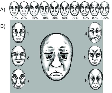 Visual Stimuli Examples A Illustrative Example Of The Linear