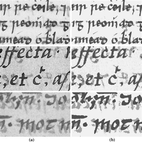 The Examples Of Elm Based Classification A The Testing Images And B Download Scientific