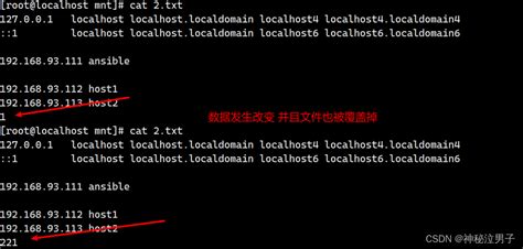 Ansible 中的copy 复制模块应用详解 阿里云开发者社区 Ansible 中的copy 复制模块应用详解 阿里云开发者社区