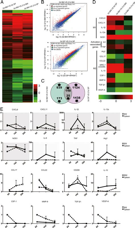 Figure 5 From Characteristics Of Leukemia Associated Diverse Functional