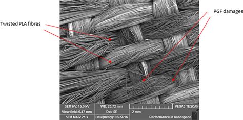 Sem Image Of Pgfpla Commingled Textile Sem Scanning Electron Microscope Download Scientific