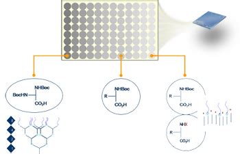 Picoliter Titer Plates LC Sciences Biomedical Research Discovery