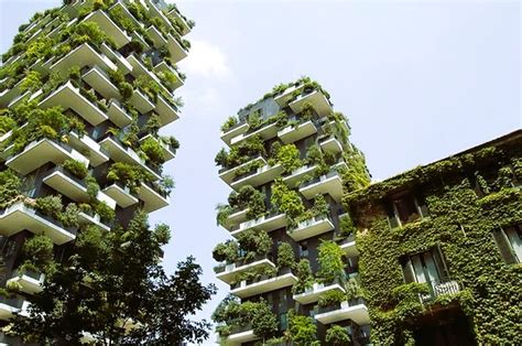 Understanding Leed Certification A Comprehensive Guide For Builders