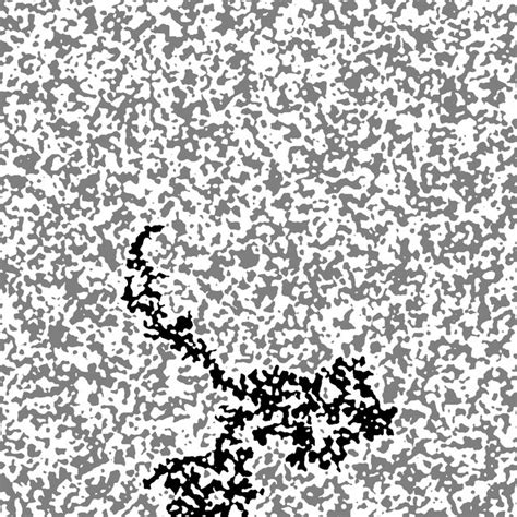 Three Different Level Sets Of The Same Sample Of The Bargmann Fock Download Scientific Diagram