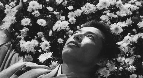 Seven Samurai 1954 Dir Akira Kurosawa Cinema Filmes Fotografia