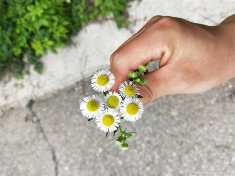 Oracle Sql 两个日期类型毫秒值求差，日期转毫秒，时间差（ms）自定义函数解决毫秒差51cto博客oracle 日期转毫秒数