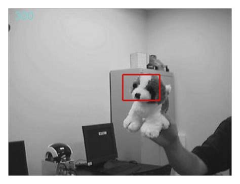 The Tracking Results With Tracking Speed 31fps The Red Window