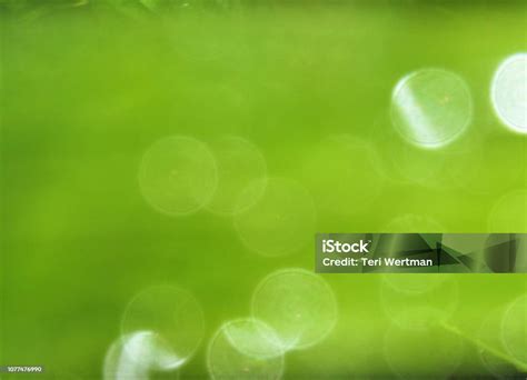 와 같은 다양 한 배경 용암 바위 벽에 이끼 풀 잎에이 슬 방울 이끼 가까이의 클로즈업을 석양 모래 잎 잔디 W 아침 빛 화산