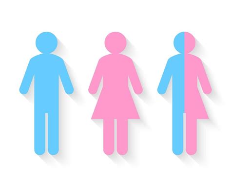 Gender Identification WriterSandy
