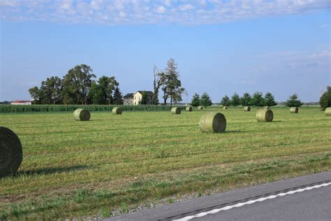 Town Clerk — Town Of Argyle Ny