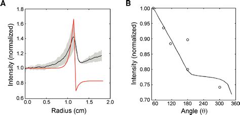 A Synthetic Genetic Edge Detection Program Cell