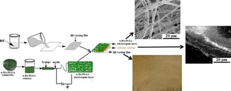 负载万古霉素的竹纤维和纳米羟基磷灰石 丙交酯 乙交酯共聚物组成的新型可降解双层复合膜的机械强度、降解性和抗菌性能得到改善 Industrial And Engineering Chemistry