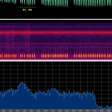 spectrogram a oscillogram b and power spectrum c of the call of