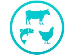 Skinnyfit Super Youth Gummies Collagen Biotin Gummies Skinnyfit